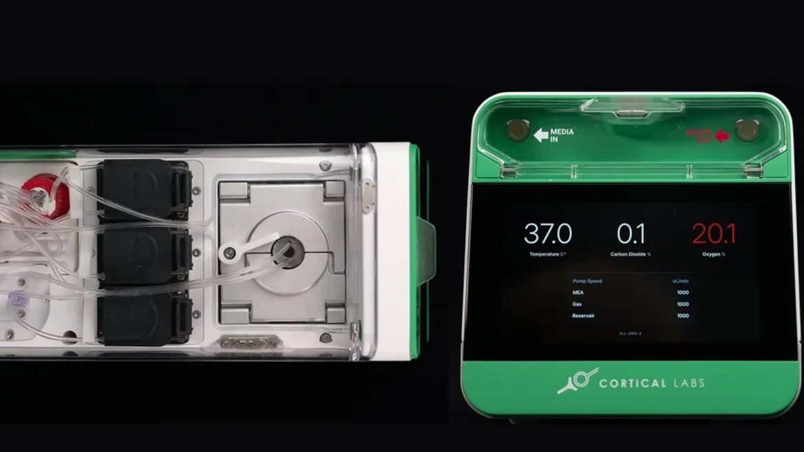 Startup Cortical Labs releases world's first biocomputer made from ...