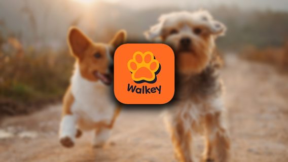 Ukrainians have released an AI app for dog owners called Walkey, which ...