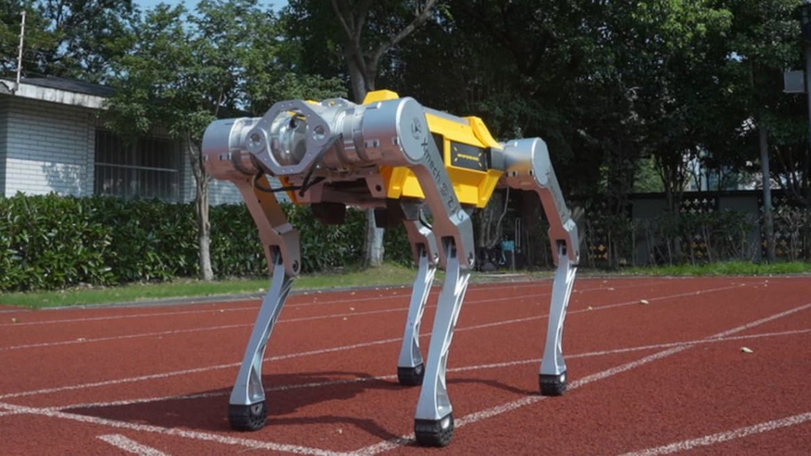 Chinese robot dog sets Guinness record by running 100 meters in 16.33 ...